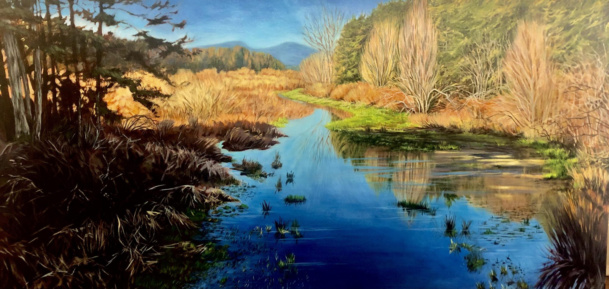 Salt Spring Island Artists - Art Coast Gallery Salt Spring